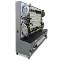 China Automotive Electrical System Metal Training Model Educational Equipment for Vocational Schools Teaching for sale