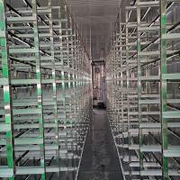 China PLC 40ft Barley Automatic Hydroponic Fodder Machine Save Water And Energy for sale