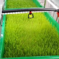China Daily 5T To 20T Smart Hydroponic Shipping Container For Growing Fodder for sale