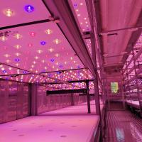 China ODM 25.5m2 Agricultural Hydroponic Container Farm For Leaf Vegetables for sale