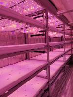 China OEM 110V Solar Powered Hydroponic Grow Containers For Brassicas for sale