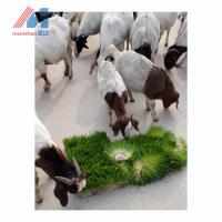 China No Pollution 1000kg Hydroponic Fodder Container Automatic Fodder System for sale
