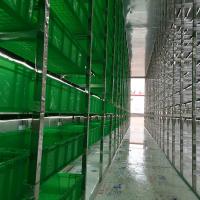 China OEM 8KW Green Barley Hydroponic Fodder Container Environmentally Friendly for sale