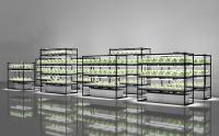 China Aluminum 4 Layers Hydroponic Indoor Vertical Farms For Greenhouse for sale