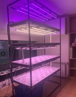 China 150*60cm Kale Lettuce Indoor Farming Hydroponic Plant Grow Chamber 3 Layer for sale