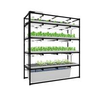 China OEM ODM 5 Layer Coated Steel Indoor Vertical Farms With Led Grow Light for sale