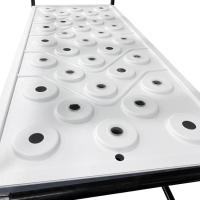 China Customized 45cm Layer Height Hydroponic Lettuce Rack For Growing Crops for sale
