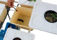 China Stable High Productivity Hydroponics Dutch Buckets For Eggplants for sale