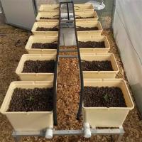 China OEM 11 Litre Plastic Hydroponic Dutch Bucket System For Plants Peppers for sale