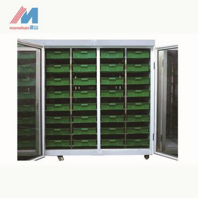 China Daily 200kg Sorghum Fodder Sprouting System ODM Seed Germination Machine for sale
