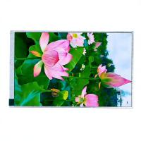 China 8 Inch 800x1280 Vertical TFT LCD Display IPS Viewing Angle 30 Pin MIPI Interface for Industrial Vehicle Mounted Use for sale