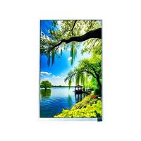 China 10.1-inch Vertical Screen Display with 800*1280 Resolution, 40-pin MIPI Interface, IPS Viewing Angle LCD Display Screen for sale