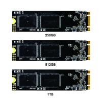 China 240GB 256GB 1TB Internal Solid State Hard Drive Kingfast M2 SATA M2SSD for sale