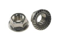 China 3/8-16-3/4 Shank Bolt Nut Carbon Steel Ss304 Hex Flange Nut EG for sale