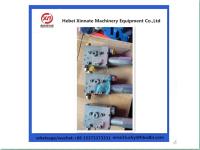 China HAVE Balance Valve Putzmeister Single Interlock Valve 400 440 Solenoid Valve For Concrete Pump for sale