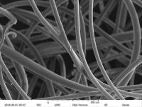 China Magnification Max 150000X Scanning Electron Microscope 5nm Resolution EDS BSE for sale