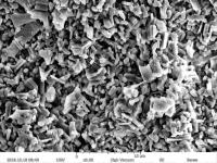 China Magnification Max 150000X Scanning Electron Microscope 5nm Resolution EDS BSE for sale