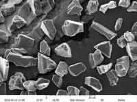 China Magnification Max 150000X Scanning Electron Microscope 5nm Resolution EDS BSE for sale
