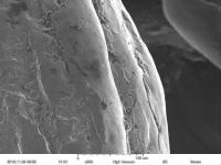 China Desktop Scanning Electron Microscope 60000X Magnification 15nm Resolution Optional EDS for sale