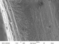 China Desktop Scanning Electron Microscope 60000X Magnification 15nm Resolution Optional EDS for sale