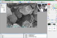 China 8X-300000X Scanning Electron Microscope 3-6nm Resolution with Optional EBSD for sale