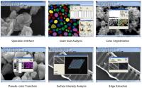 China Magnification 8X-800000X Scanning Electron Microscope 1.5-3nm Resolution BSE for sale