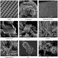 China Magnification 8X-800000X Scanning Electron Microscope 1.5-3nm Resolution BSE for sale