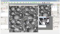 China Magnification 8X-800000X Scanning Electron Microscope 1.5-3nm Resolution BSE for sale