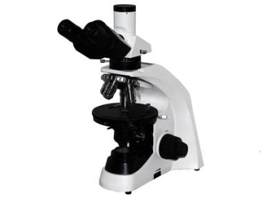 China Trinocular Educational Microscope Kit WF10X 20mm Student Microscope 40X 1000X Mechanical Stage for sale
