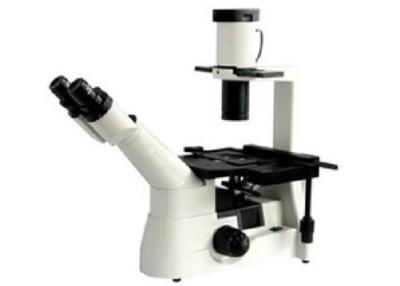 China RMS Threaded Inverted Microscope WF10X/22mm for Living Cell Culture 220V for sale