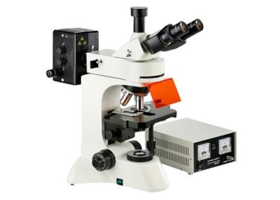 China Trinocular Infinity EPI Fluorescence Microscope 1000X with Camera for Genetics Research for sale