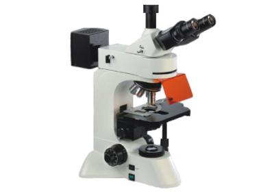 China Trinocular LED Fluorescence Microscope 40X 1000X UIS Infinity Optical System for sale