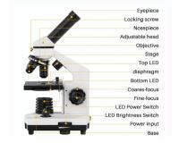 China Monocular Drawtube Student Biological Microscope 640X ODM for sale