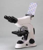 China 4 Position 40X 1000X Lab Biological Microscope with Mechanical Stage 145x140mm for sale