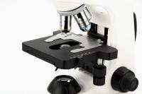 China 4 Position 40X 1000X Lab Biological Microscope with Mechanical Stage 145x140mm for sale