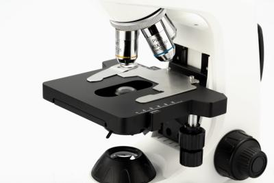 China 4 Position 40X 1000X Lab Biological Microscope with Mechanical Stage 145x140mm for sale
