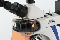 China Integrated Dark Field Polarizing Trinocular Biological Microscope 40X-1000X for sale