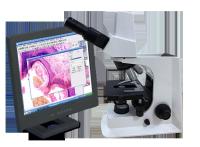 China White Trinocular Lab Biological Microscope 40X-1000X with Mechanical Stage 145x140mm for sale