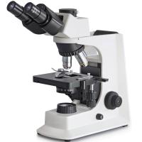 China White Trinocular Lab Biological Microscope 40X-1000X with Mechanical Stage 145x140mm for sale