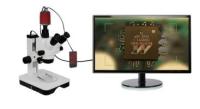 China 3M HDMI Digital Camera Microscope with Sony Sensor 1920x1080 60FPS for sale
