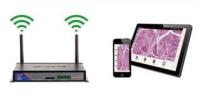 China 60FPS WiFi transfer Microscope Digital Camera 4 Groups Crosshair Display for sale