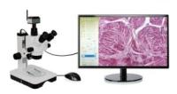 China 60FPS WiFi transfer Microscope Digital Camera 4 Groups Crosshair Display for sale