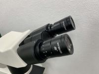 China 50X 1000X Binocular Metallurgical Microscope Humanized Butterfly Medical Lab Microscope for sale