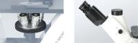 China 40X-400X Inverted Optical Microscope WF10X 22mm For Cell Observation And Cultivation for sale