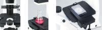 China 40X-400X Inverted Optical Microscope WF10X 22mm For Cell Observation And Cultivation for sale