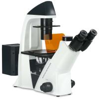 China 40X-400X Inverted Optical Microscope WF10X 22mm For Cell Observation And Cultivation for sale