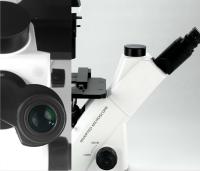 China 40X-400X Inverted Optical Microscope WF10X 22mm For Cell Observation And Cultivation for sale