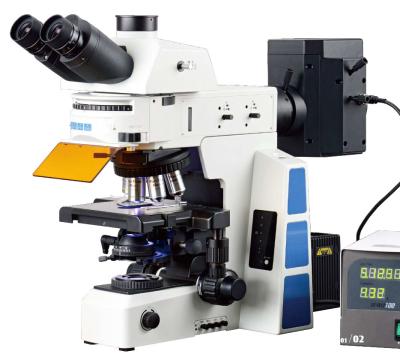China Trinocular Biological Microscope M12111 LED Fluorescence 100W Mercury Lamp 25mm Coarse Focus for sale