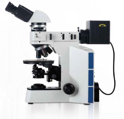 China PL10X22mm Trinocular Polarizing Microscope 20x 50x LWD Plan Objectives for sale