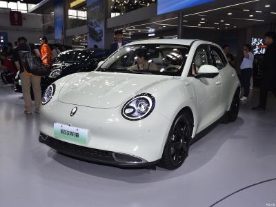 China ORA Good Cat 2022 Pure Electric Vehicle 401-501KM Range 5 Doors 5 Seats 105kW for sale